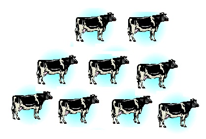 Quia - B. Review: Say the question and answer: How many (animals ...