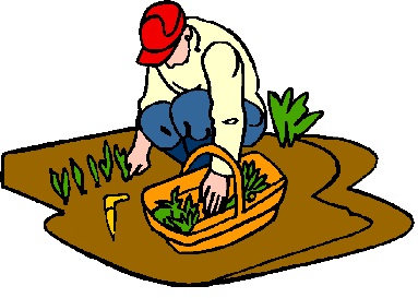 Quia - C. Learn and say the words (Action Verbs Part 13)