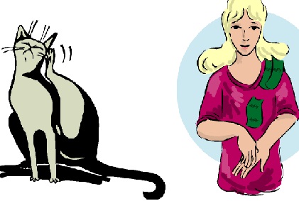 Quia - C. Learn and say the vocabulary (Action verbs part 15)