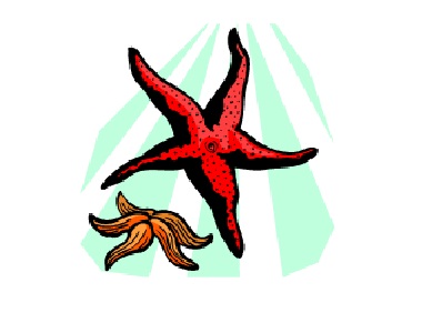 Quia - B. Learn and say the vocabulary (New Compound Words)