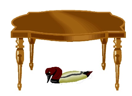 Quia - F. Review: Say the question and answer: Where is the (animal ...