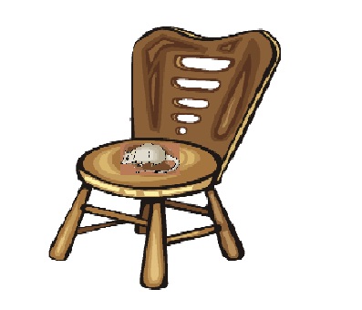 Quia - F. Review: Say the question and answer: Where is the (animal ...