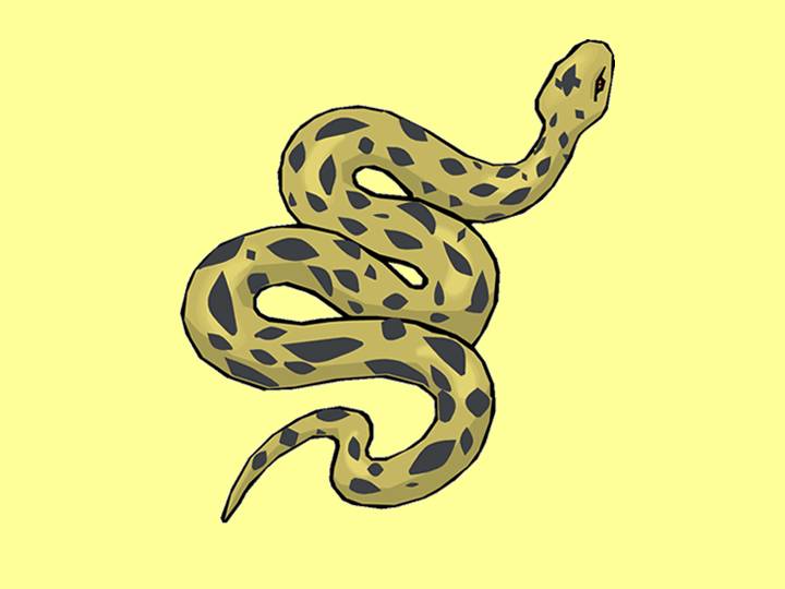 Quia - Practice more Beginning Sounds