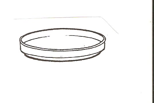 Quia - Lab equipment