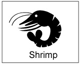 Quia - Invertebrate Phylum Flashcards