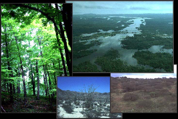 Quia - Life Science - Lesson 3: Habitats, Ecosystems, and Biomes - with ...