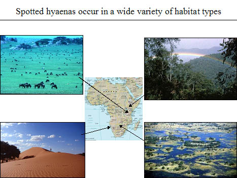 Quia - Life Science - Lesson 3: Habitats, Ecosystems, and Biomes - with ...