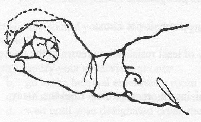 Quia - Hand Signals for Instrument Passing