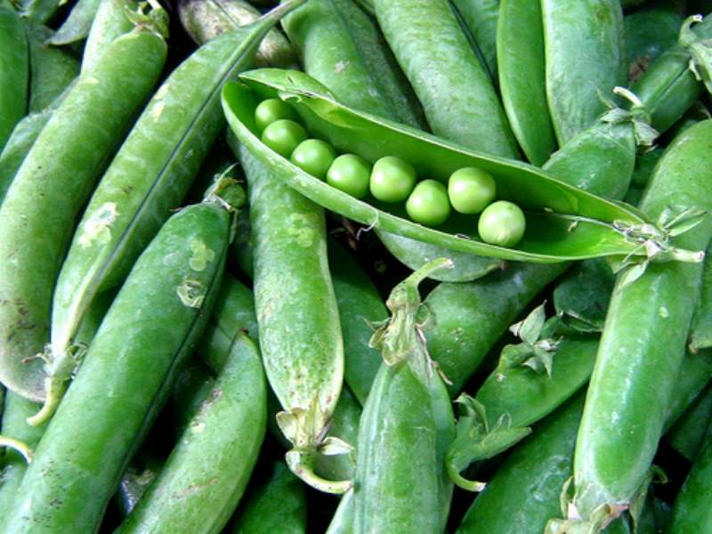 Quia - Fruit and Vegetables