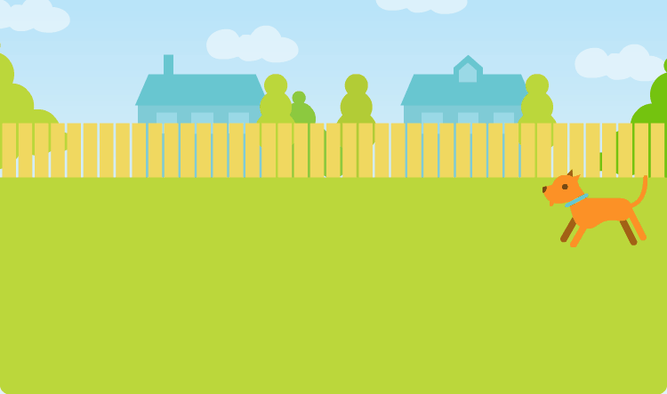 Quia - Sentence Practice - is verbing