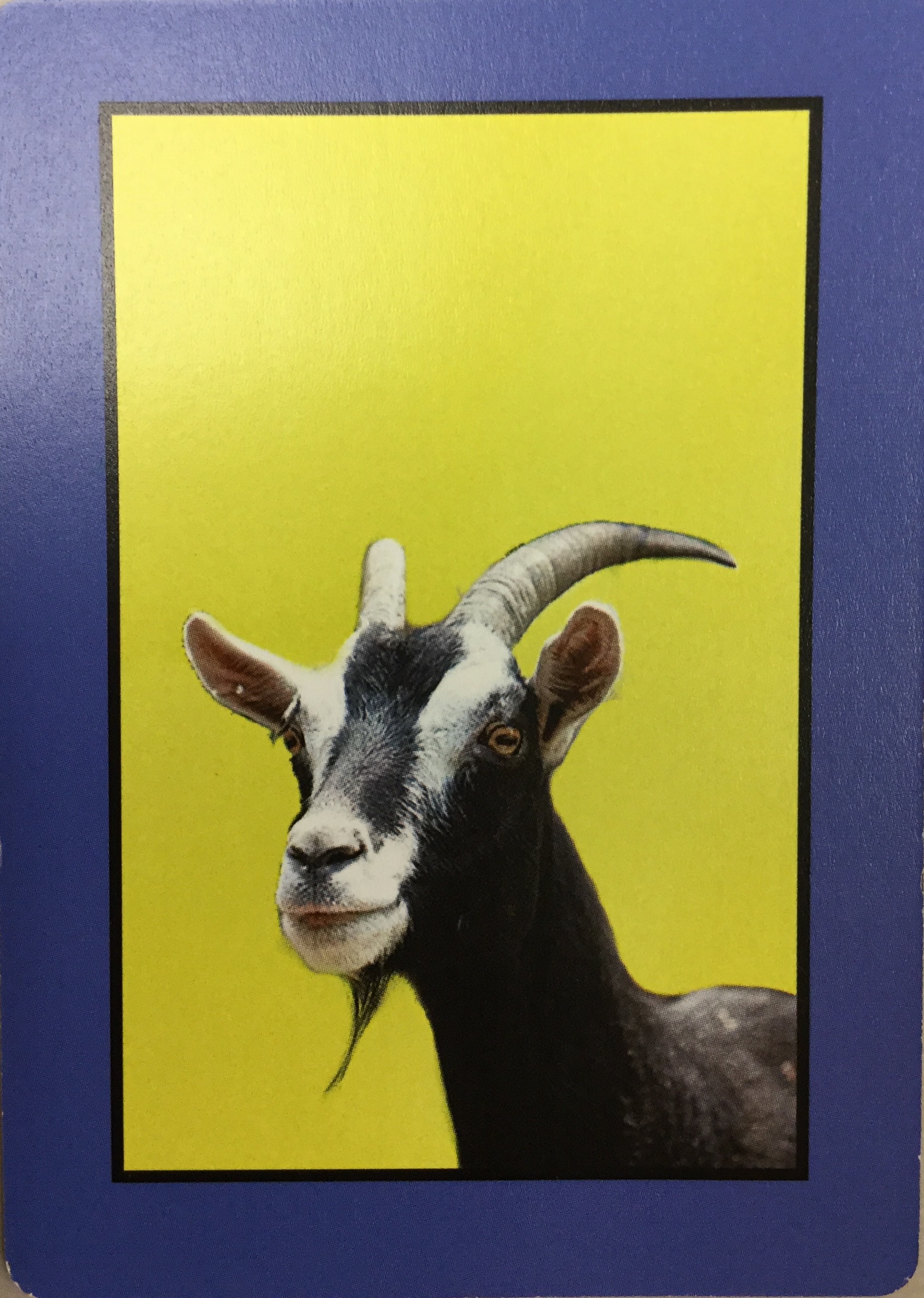 Quia - Sound Card Games