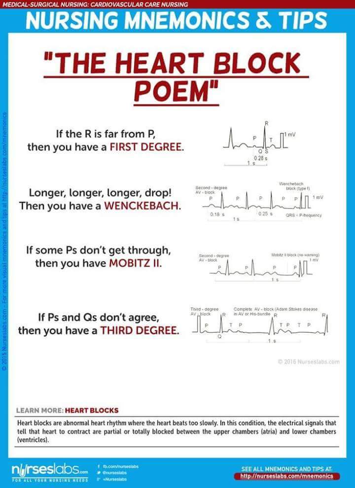 Quia - Class Page - Mr. Salinas EKG - 12/5/2016 Class
